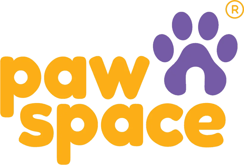 How To Travel With Pets: A Complete Guide - PawSpace